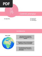 Carpeta Control Prenatal | PDF