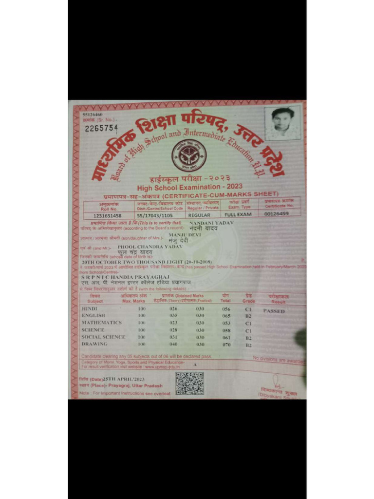 Nandani 10th marksheet | PDF