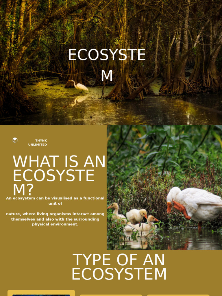 Brown and White Simple Ecosystem Presentation - 20250903 - 060841 ...