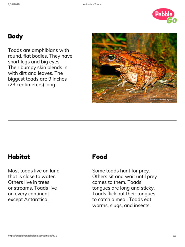 Toads Body | PDF