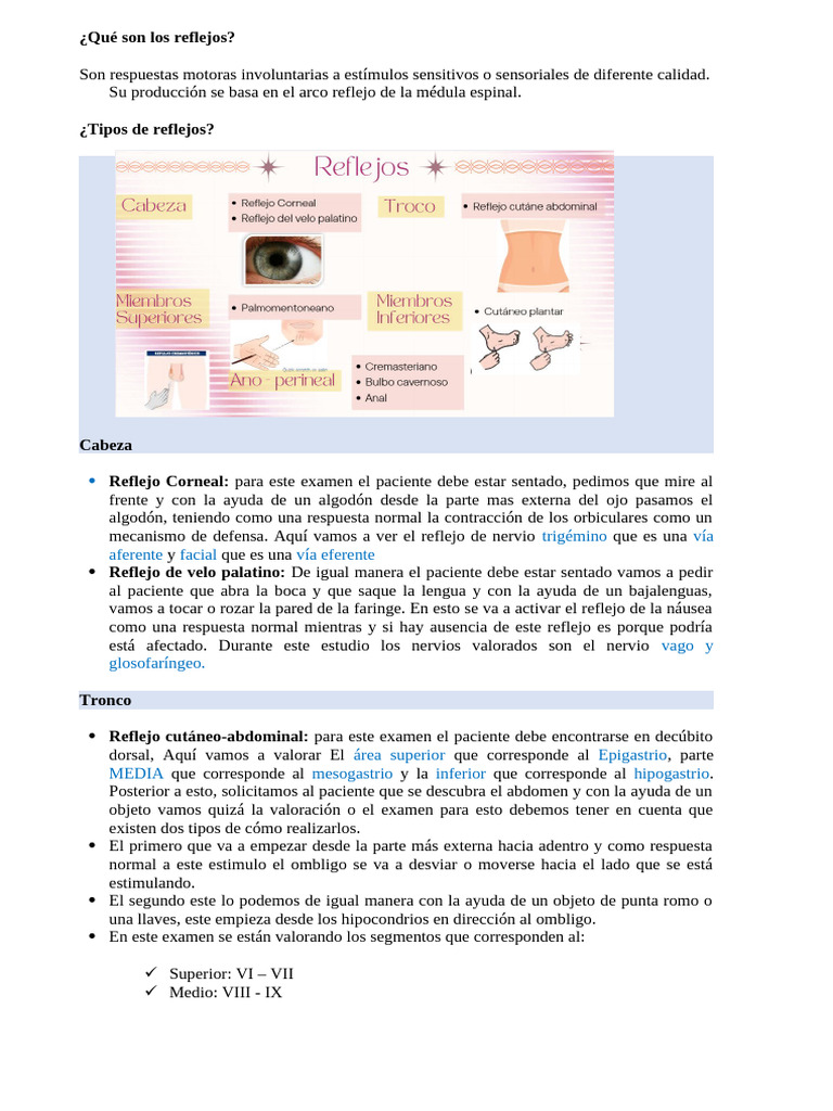 Tipos y Evaluación de Reflejos Humanos | PDF | Anatomía humana ...