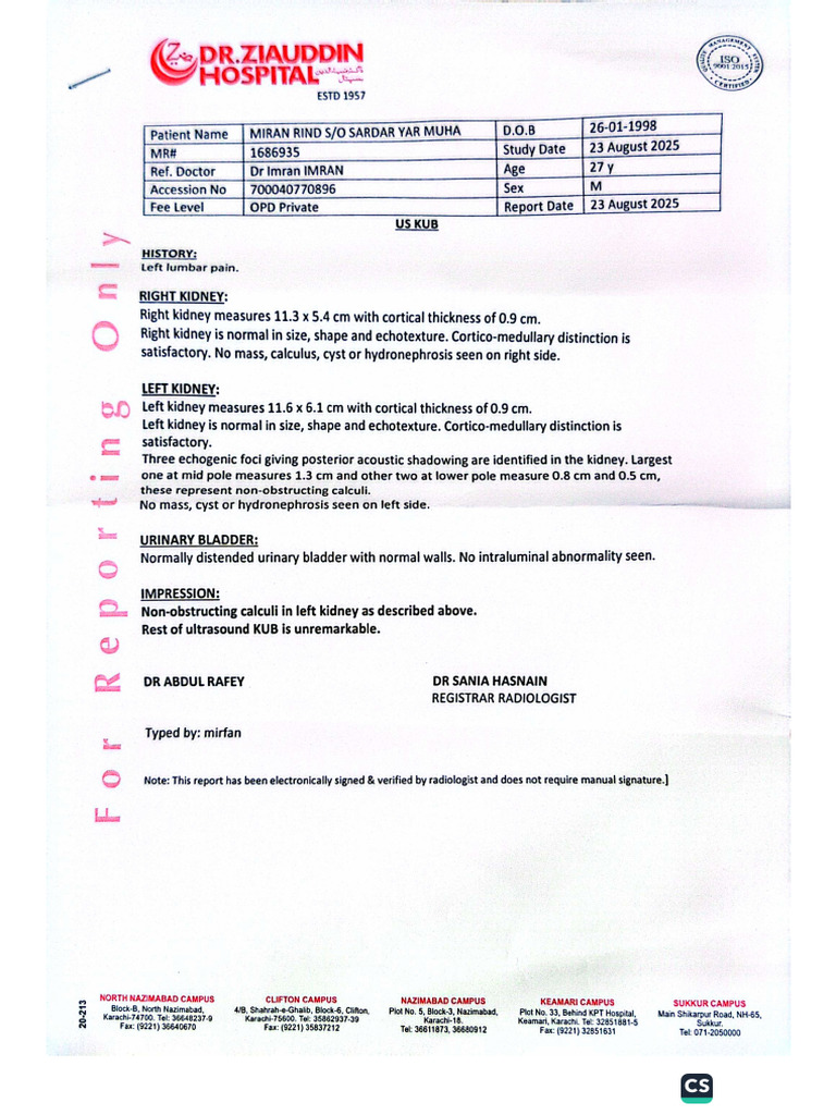 Kidney Stone Report - Karachi - 24 08 25 | PDF