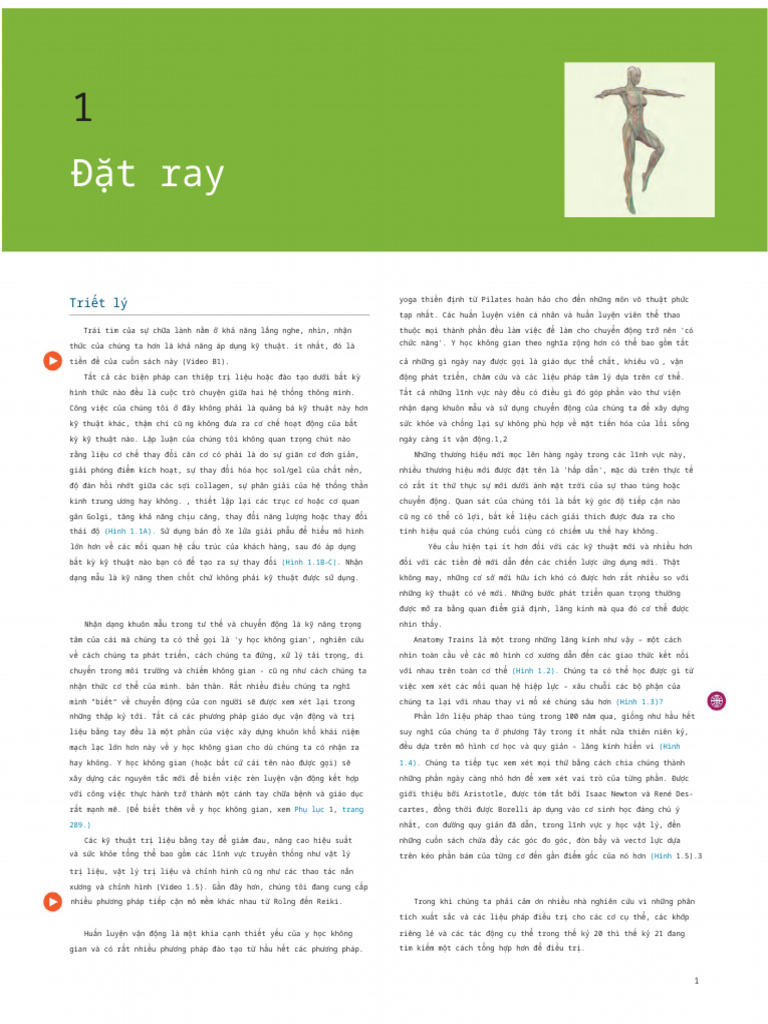 Anatomy Trains DichGG Chapter01 | PDF