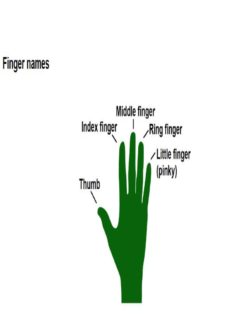 Finger Names | PDF