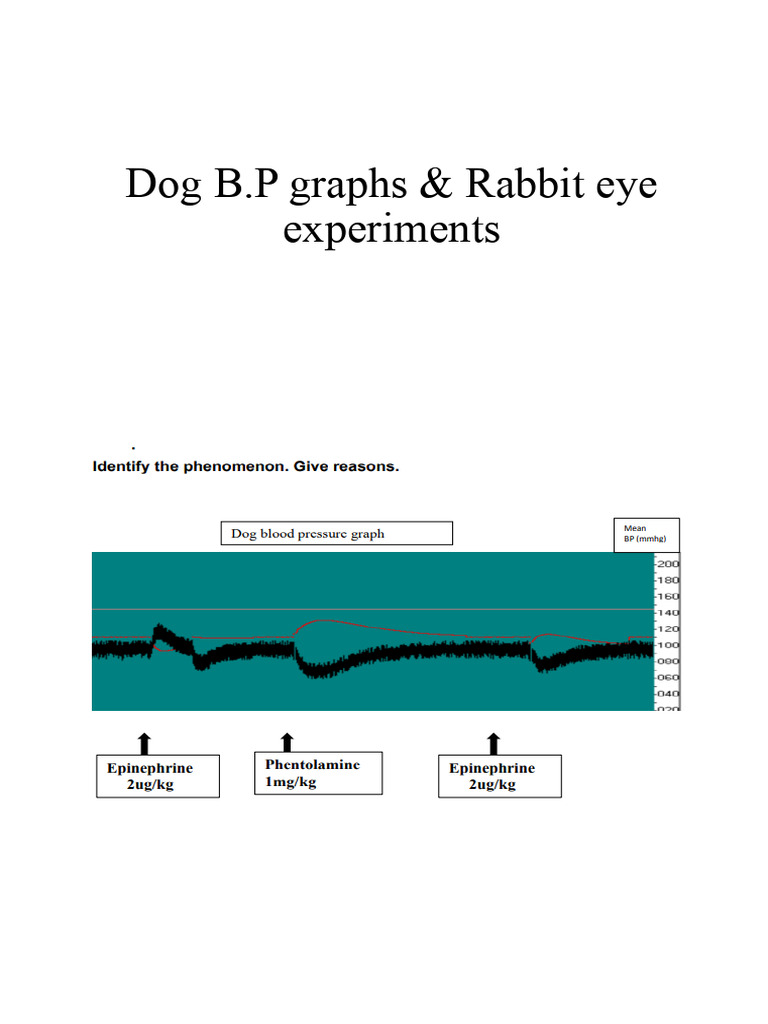 Open Dog BP & Rabbit Eye Charts - Ug Practical | PDF