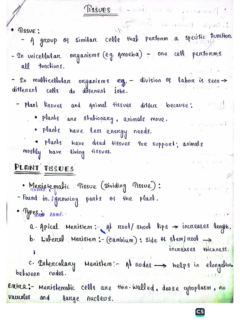 Tissue Complete Notes Class 9 | PDF