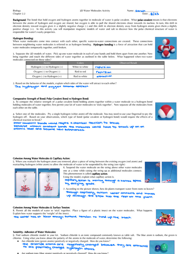 3D Water Molecules Activity-2021 | PDF | Chemical Bond | Molecules