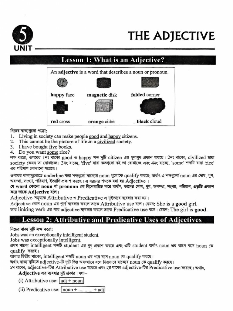 The Adjective - English Grammar | PDF