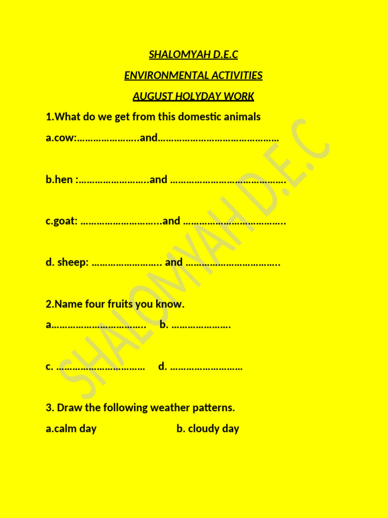 Environmental Activities Worksheet | PDF