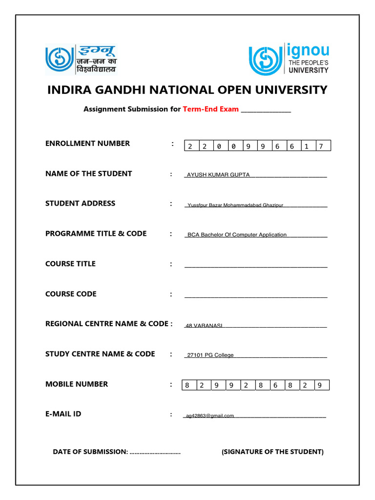 College Assignment Front Page Template | PDF