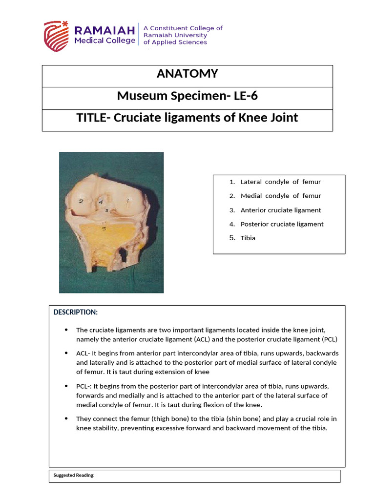 Museum Catalogue For QR Code - Format 2 | PDF