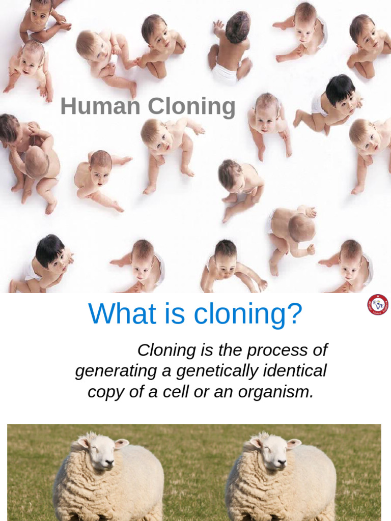Human Cloning | PDF