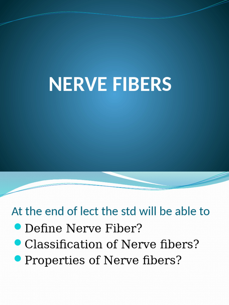 Understanding Nerve Fibers: Types & Properties | PDF | Axon | Myelin