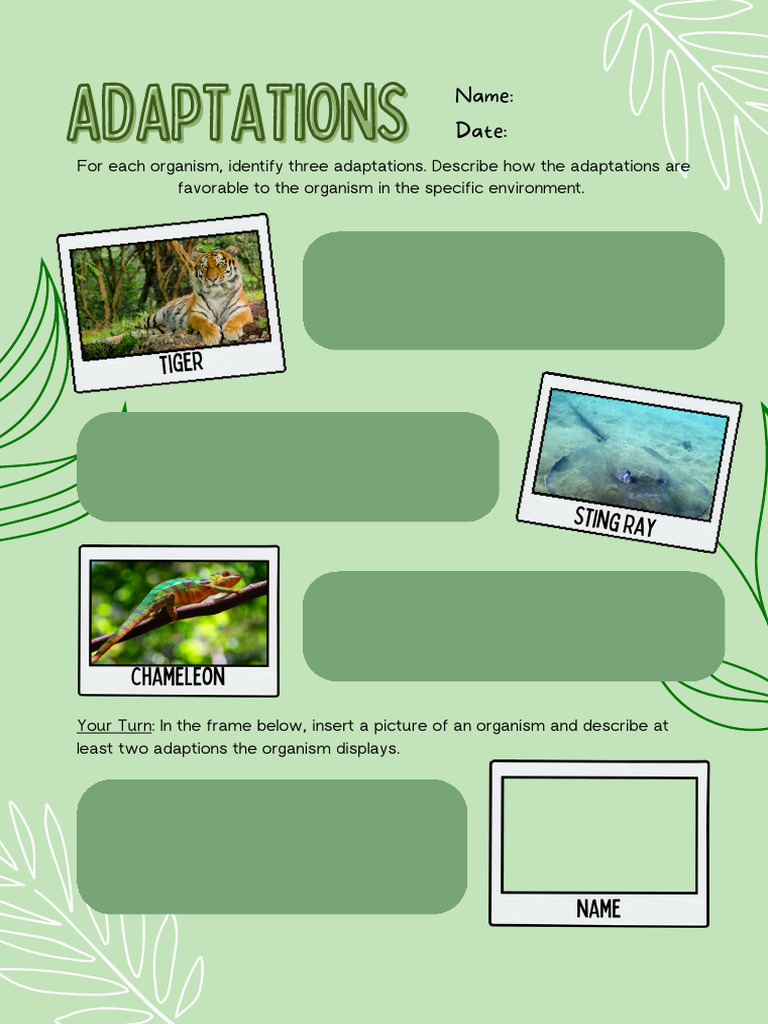 Adaptations Science Digital Worksheet in Green Blue Graphic Design | PDF