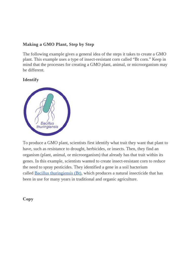 Steps to Create GMO Plants | PDF