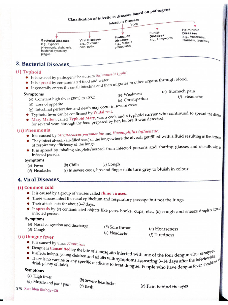Human Health & Disease Notes | PDF