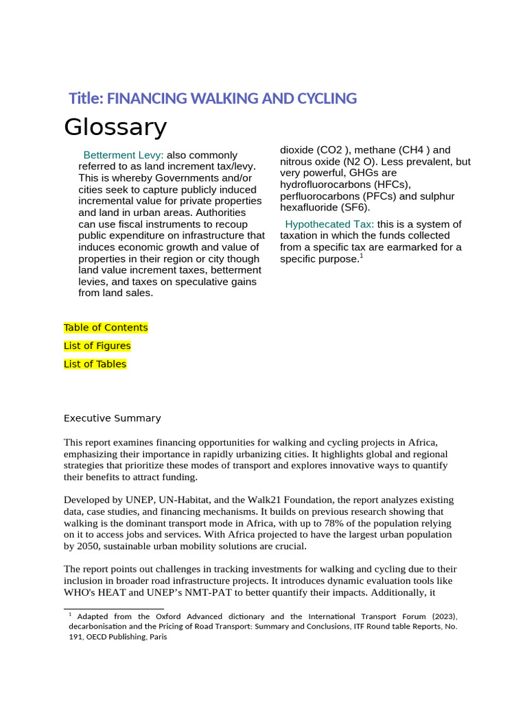 Dummy report_2025 A | PDF | Sustainable Transport | Infrastructure