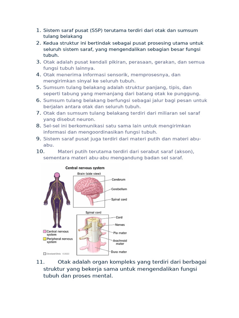 Struktur dan Fungsi Sistem Saraf Pusat | PDF