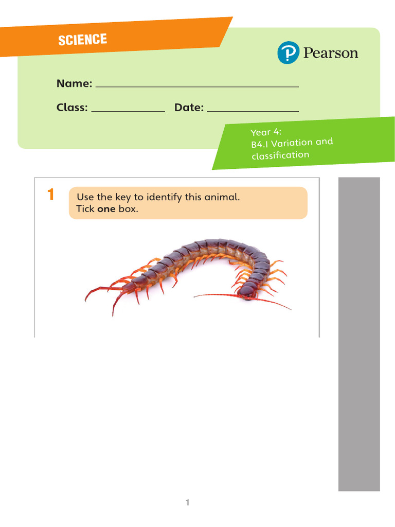Test 4 Variation and Classification | PDF | Botany | Plants