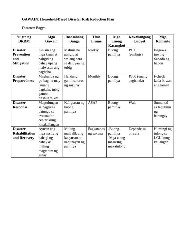 Activity DRRM Format | PDF
