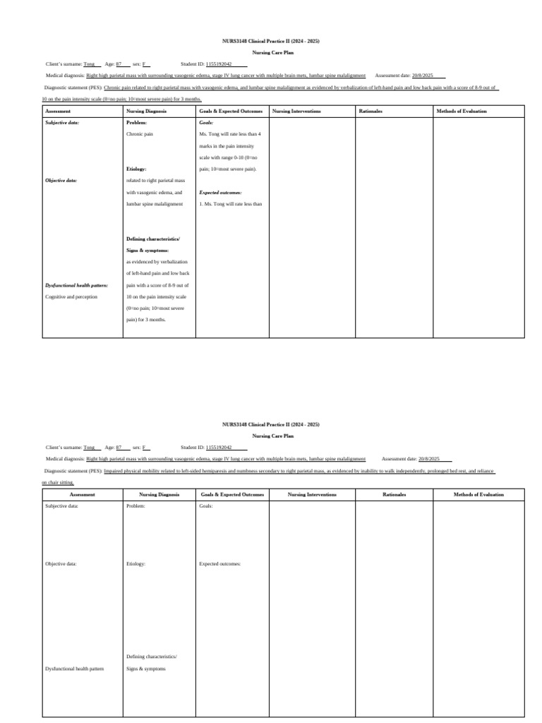 Nursing Care Plan Template | PDF | Pain | Medical Diagnosis