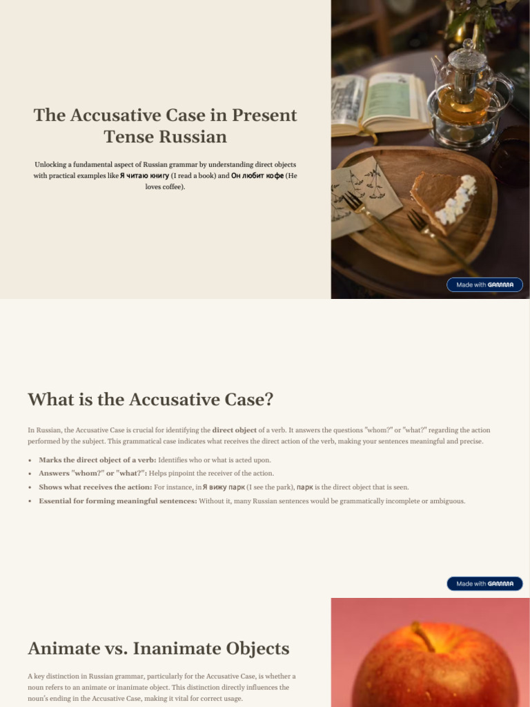 The Accusative Case in Present Tense Russian | PDF | Grammatical Gender ...