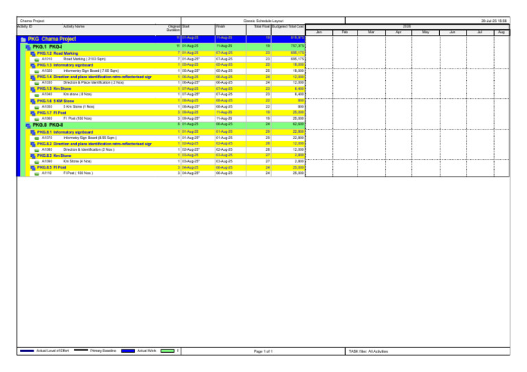Chama Project Activity Schedule 2025 | PDF