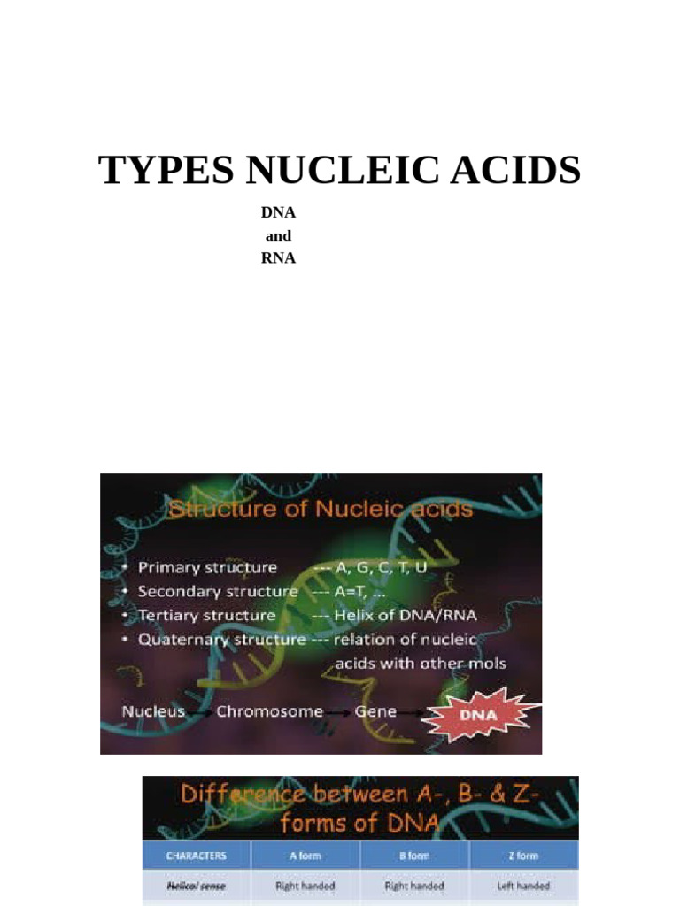Types of Nucleic Acids | PDF