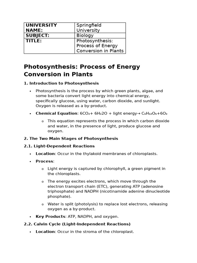 Process of Energy Conversion in Plants Photosynthesis Process of Energy ...