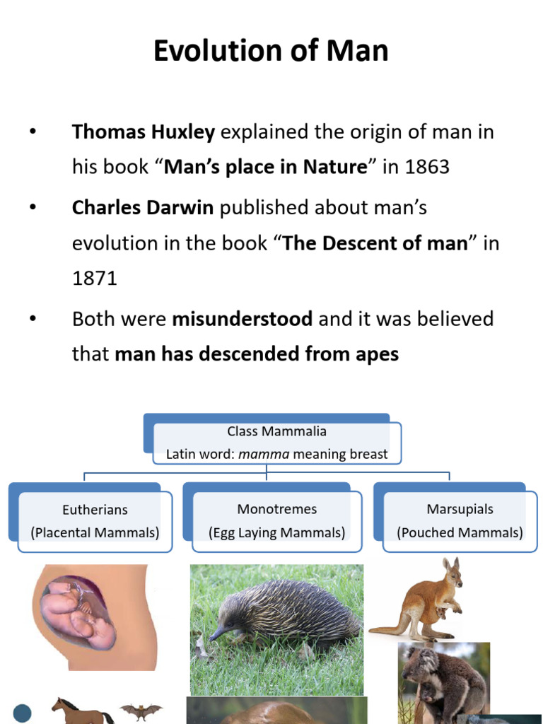 Origin and Evolution of Life (Evolution of Man) | PDF | Ape | Hominidae