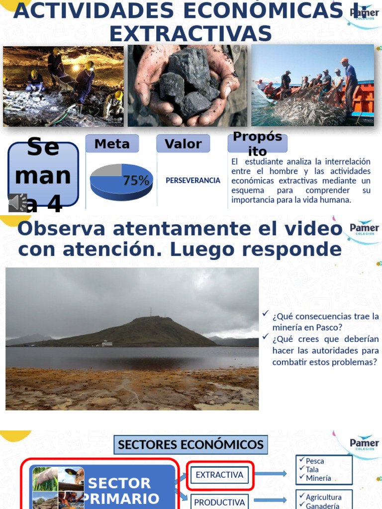 Importancia de las Actividades Extractivas | PDF | Minería | Perú