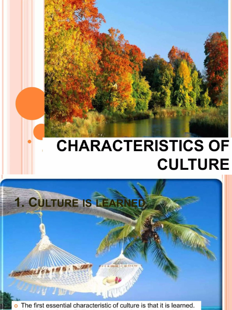 Cultural Diffusion and Ideational Cultures | PDF