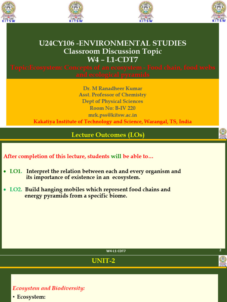 Ecosystem Concepts: Food Chains & Webs | PDF | Food Web | Forests