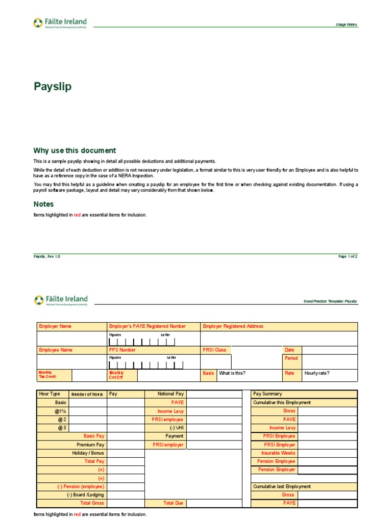 Detailed Payslip Sample Template | PDF