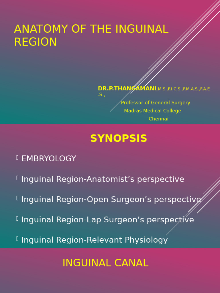 Anatomy of The Inguinal Region | PDF | Musculoskeletal System | Human ...
