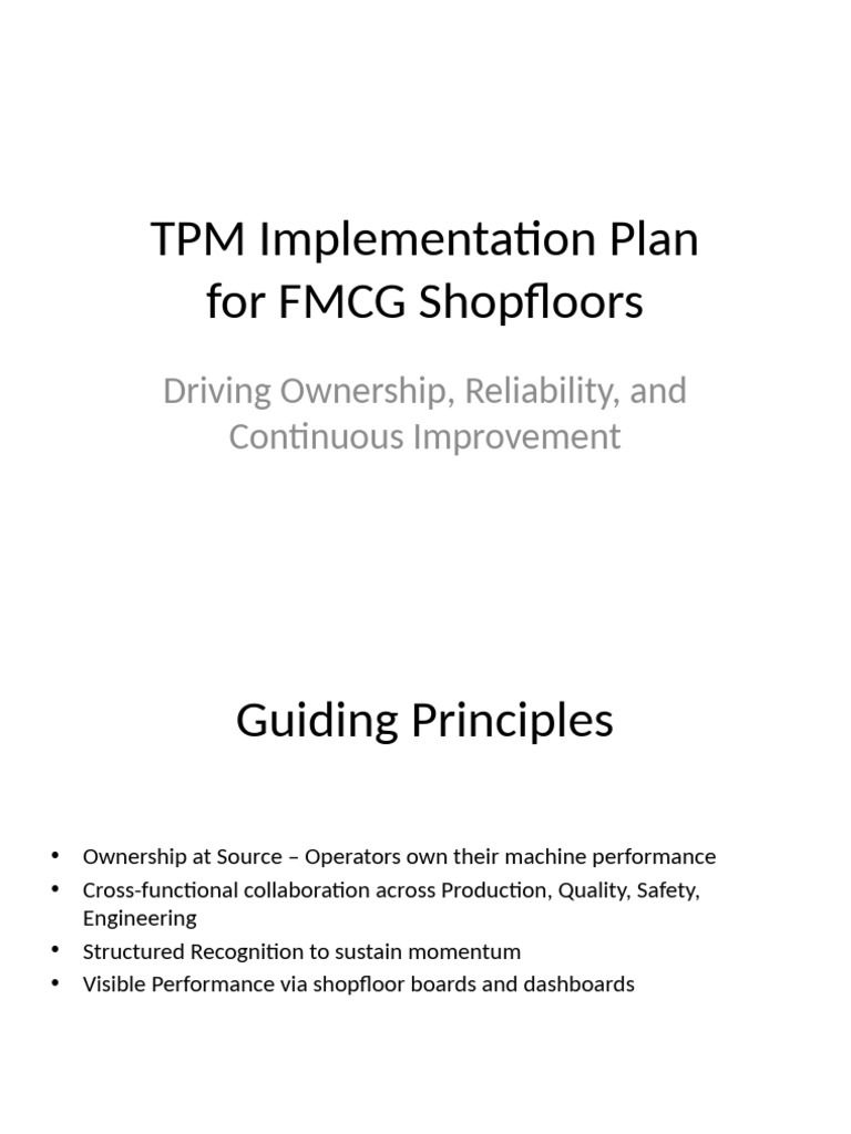 TPM Implementation Plan FMCG | PDF | Business
