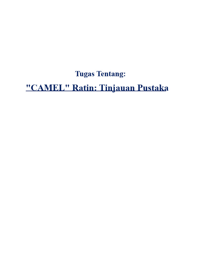 penilaian CAMEL | PDF