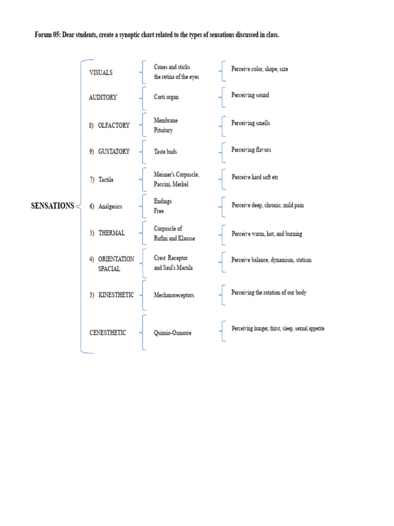 Synoptic Chart Related To Types of Sensations | PDF