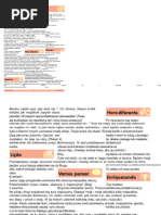 Poprawiony Konspekt Katechezy o Aniele Bożym | PDF