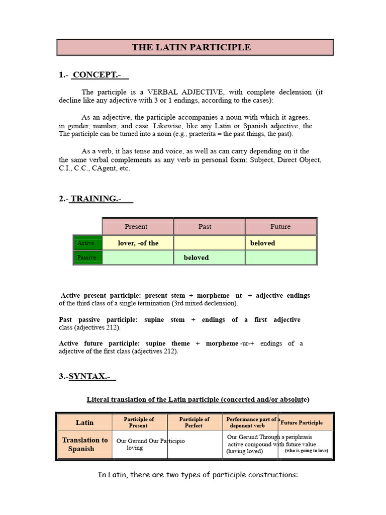 The Latin Participle (New Version) | PDF | Verb | Adjective
