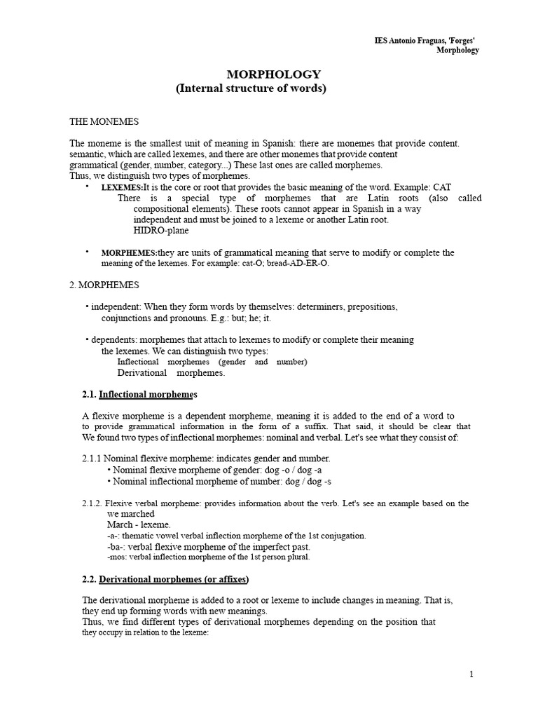 MORPHOLOGY | PDF | Word | Morphology (Linguistics)