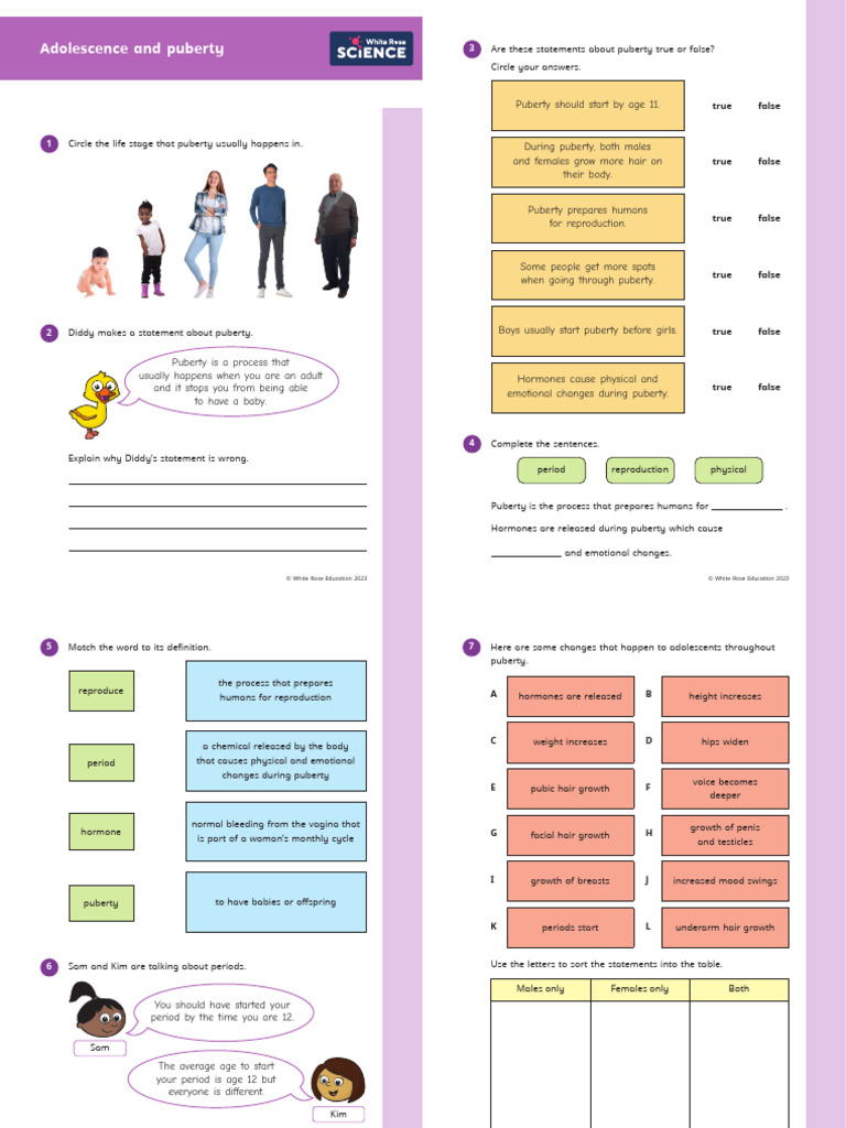 Understanding Puberty and Adolescence | PDF | Puberty | Adolescence