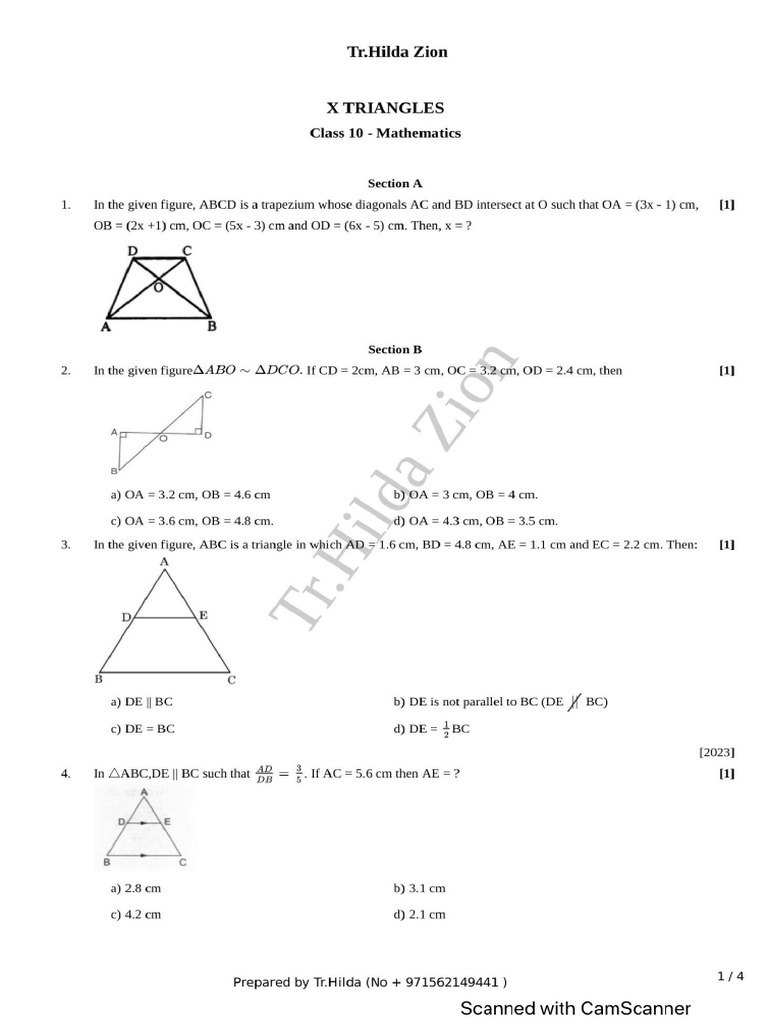 X Triangles WS | PDF