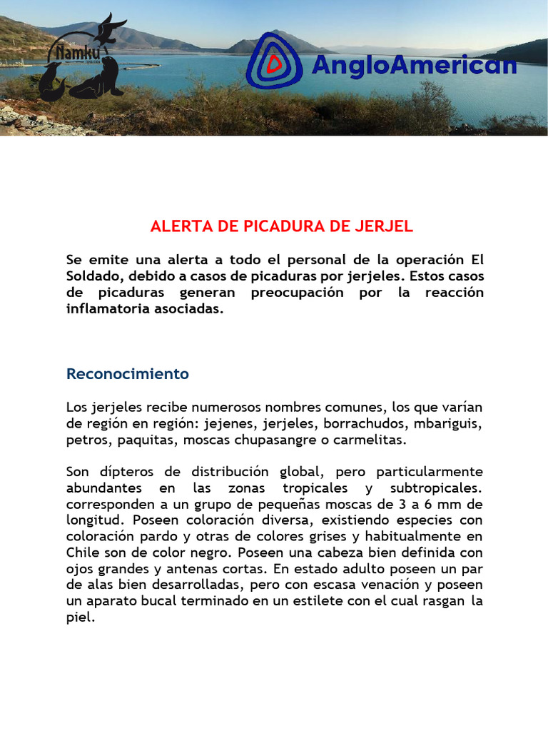 Alerta de Picadura de JERJEL | PDF | Mosca | Zoología