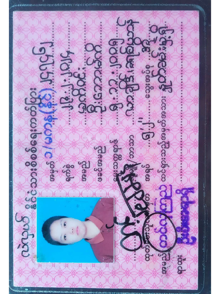 Government ID | PDF