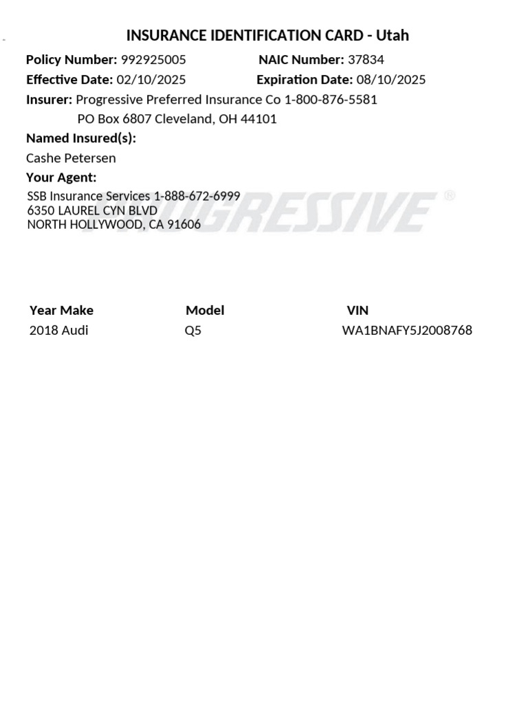 P GR Insurance Id Card Auto | PDF