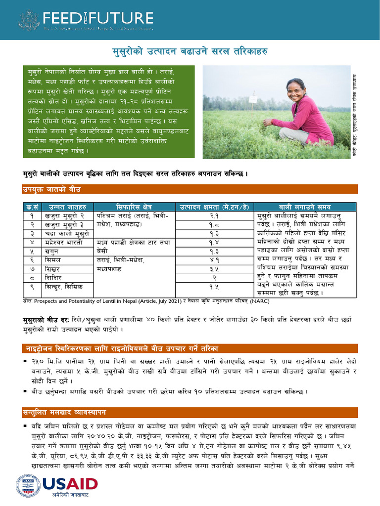 Balanced Use of Fertilizer in Lentil Flyer - A4 Size | PDF