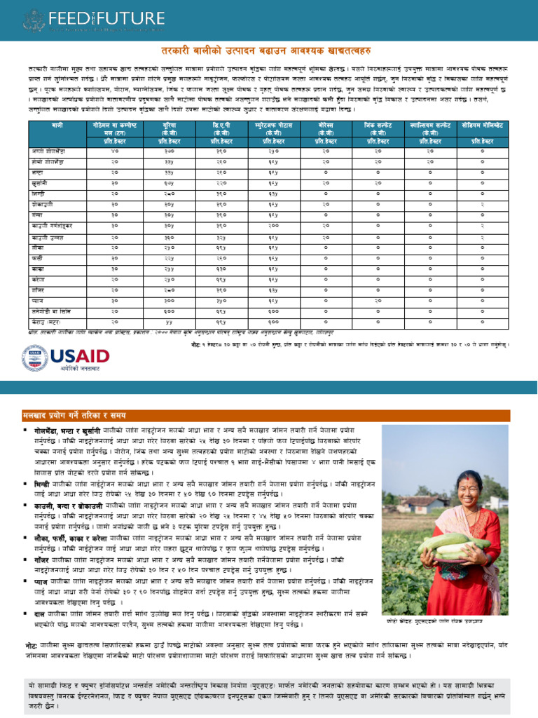 Balanced Use of Fertilizer in Vegetables Flyer - A4 Size | PDF