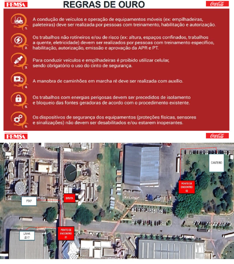 Regras de Ouro Femsa | PDF