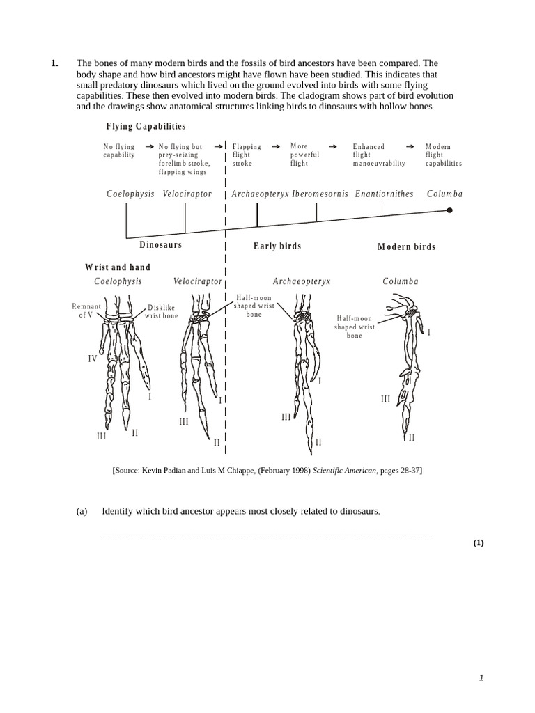 Evolution | PDF | Evolutionary Biology | Biology